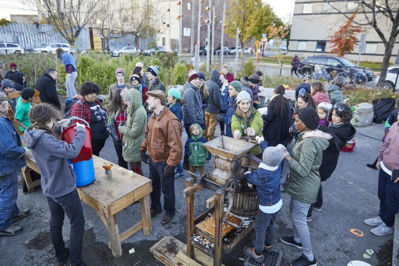 Groundwork Somerville - Groundwork Somerville