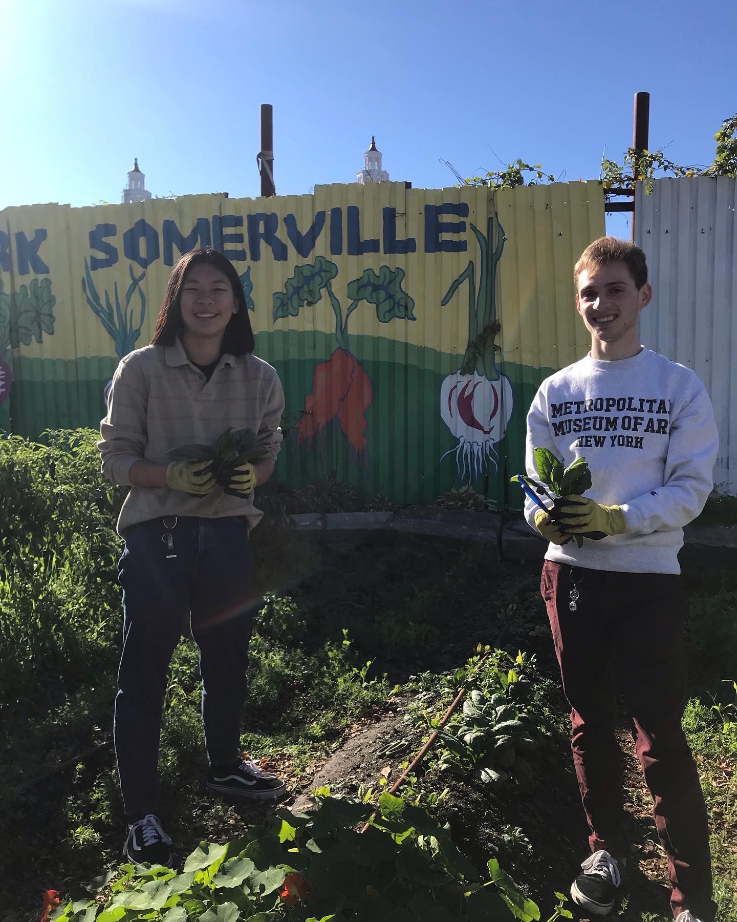 Volunteer - Groundwork Somerville