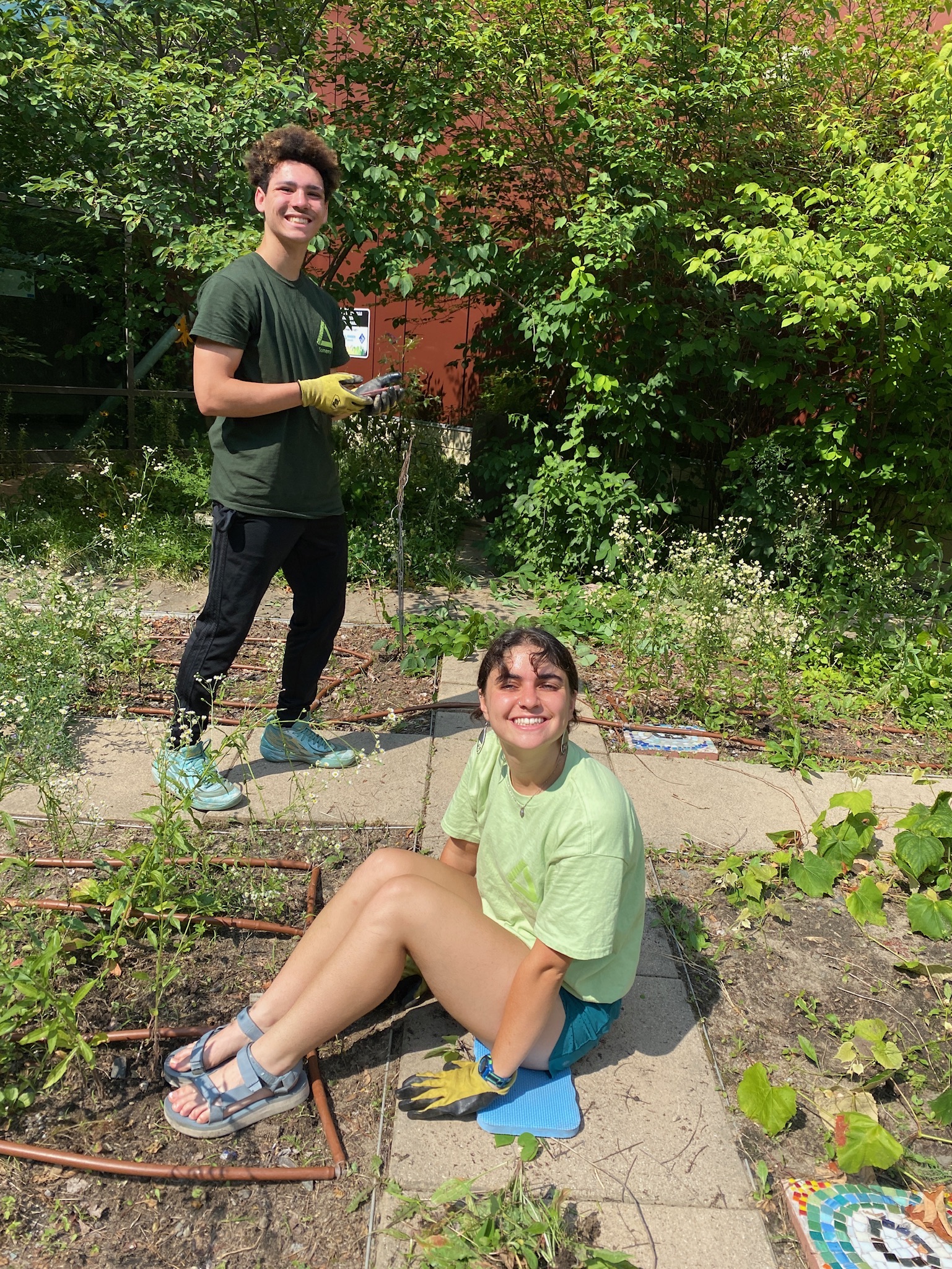 Green Team - Groundwork Somerville