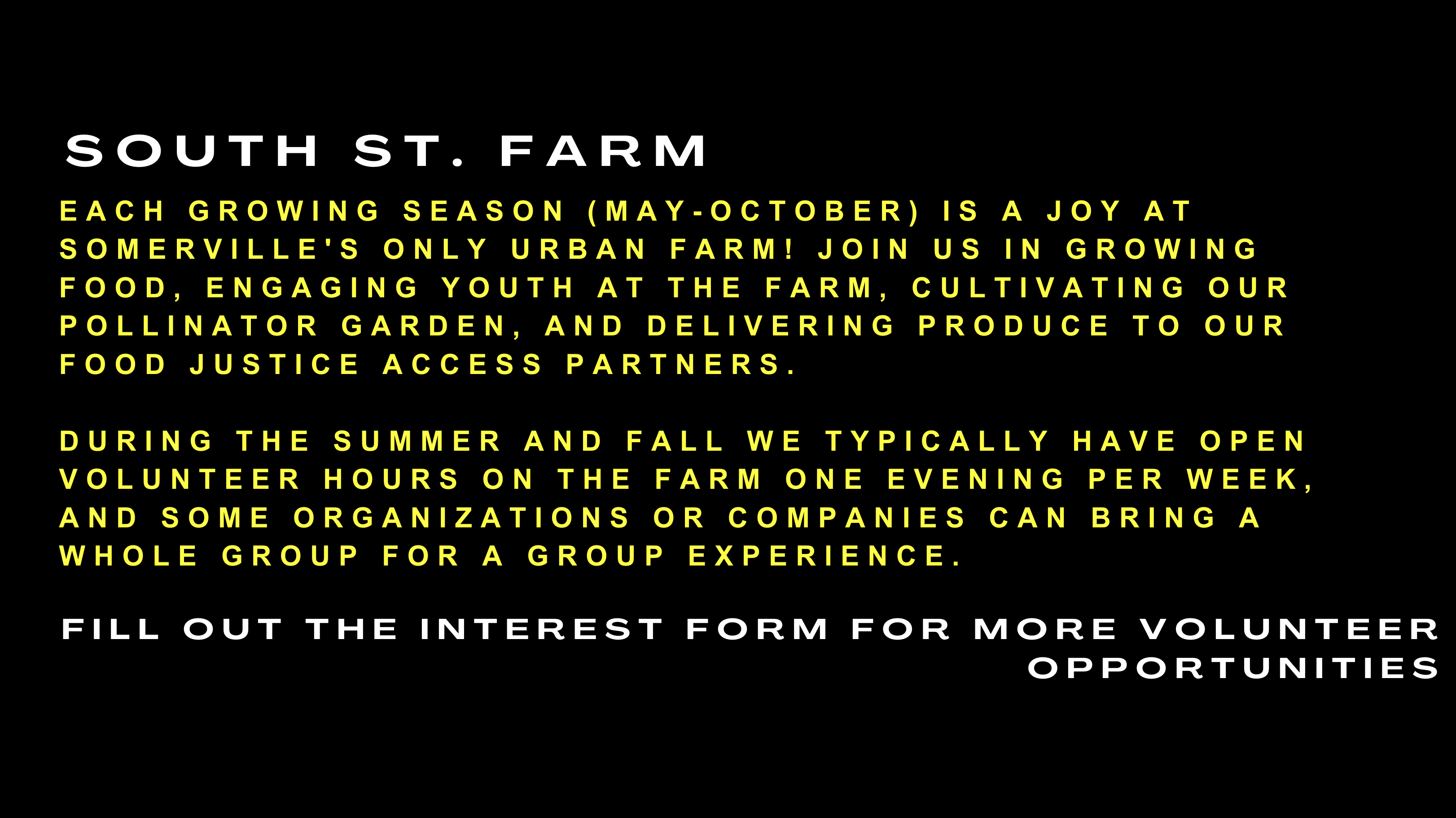 Volunteer - Groundwork Somerville