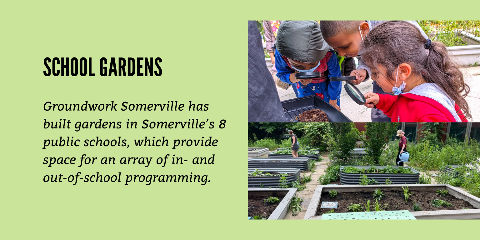 Groundwork Somerville - Groundwork Somerville