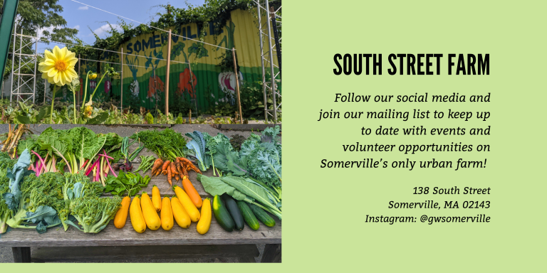 Groundwork Somerville - Groundwork Somerville