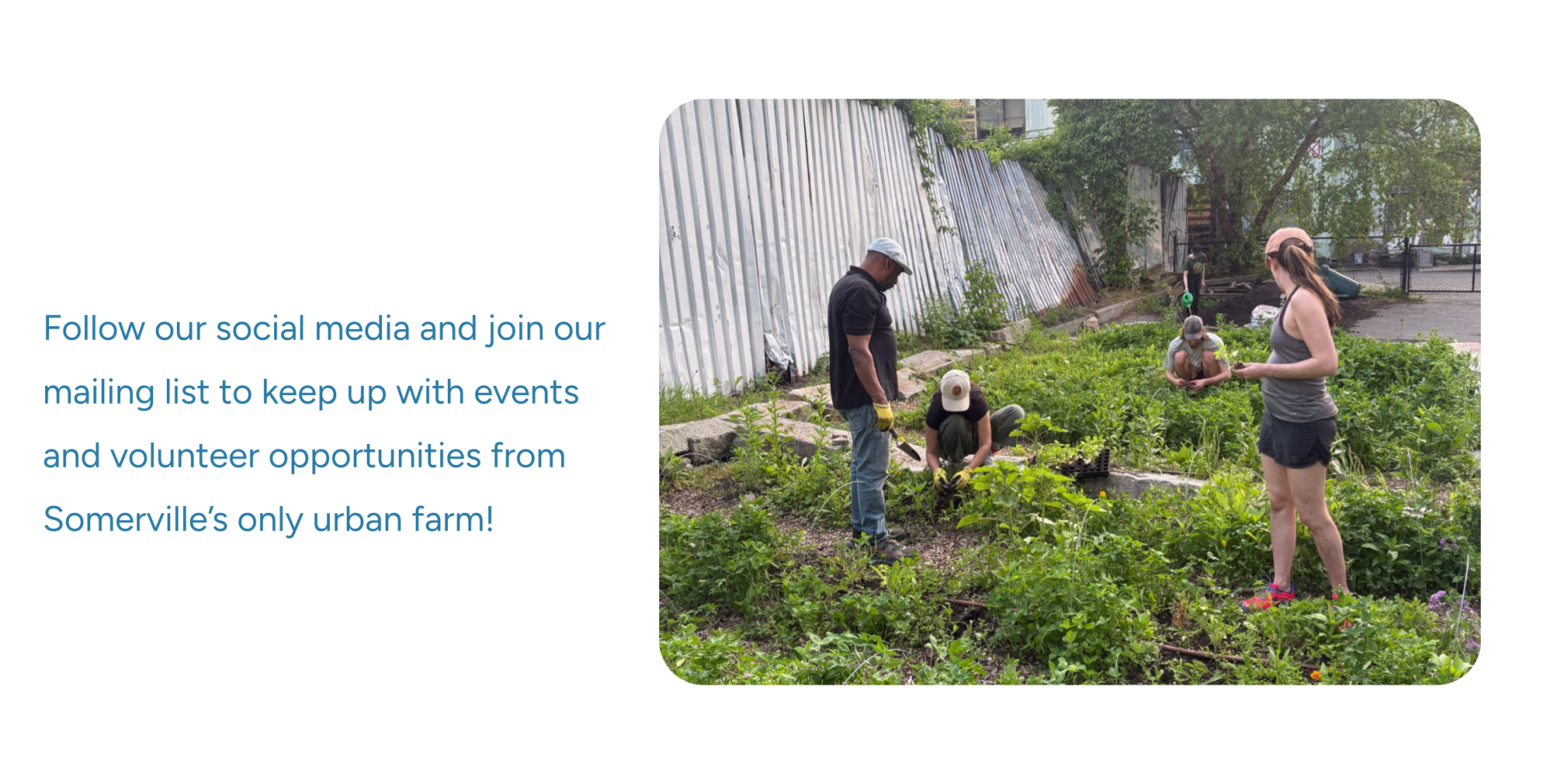 Groundwork Somerville - Groundwork Somerville